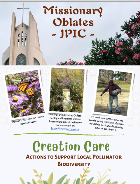 New Resource! Practical Ways We Can Help Pollinators » Justice, Peace ...